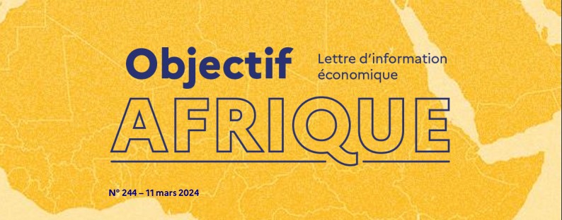 [Information Économique] : La revue des perspectives et opportunités | Asensia-Africa